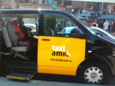 Vehicles | Taxi Amic Adaptat